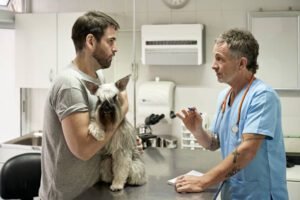 Clavacillin for Dogs: Benefits, Dosage, Side Effects, and More ...