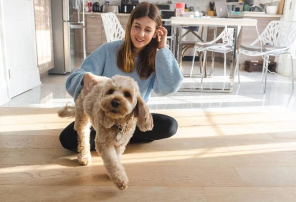 The Cockapoo Dog Breed: A Comprehensive Guide - puppadogs.com