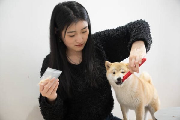 Meloxicam for Dogs: Benefits, Dosage, Side Effects, and More ...