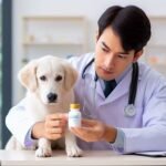 Neomycin Sulfate for Dogs: Benefits, Dosage, Side Effects, and More ...