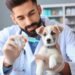 Selegiline for Dogs: Benefits, Dosage, Side Effects, and More ...