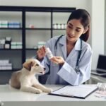 Meclizine for Dogs: Benefits, Dosage, Side Effects, and More ...