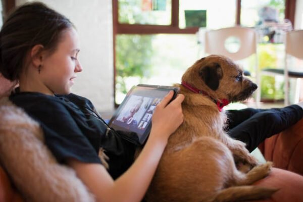 Telmisartan for Dogs: Benefits, Dosage, Side Effects, and More ...