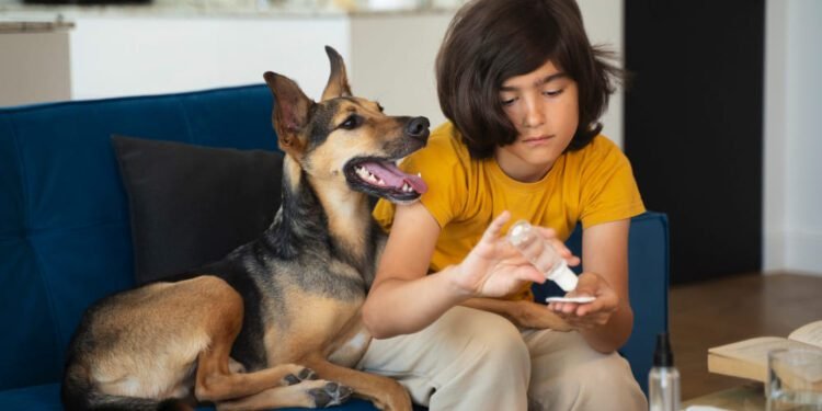 Rilexine for Dogs: Vet-Approved Antibiotic Guide