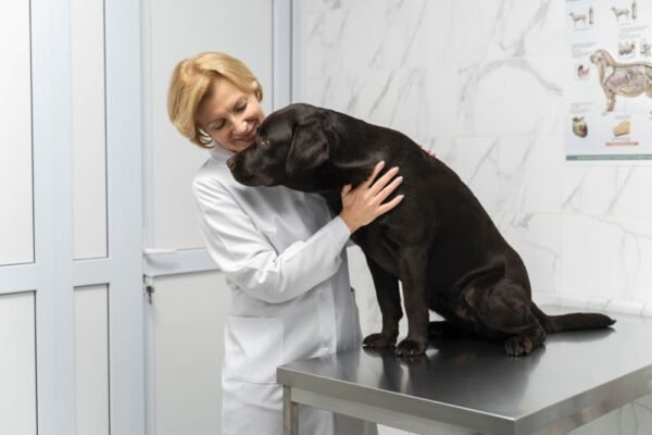 Tussigon for Dogs: Dosage and Safety Guide