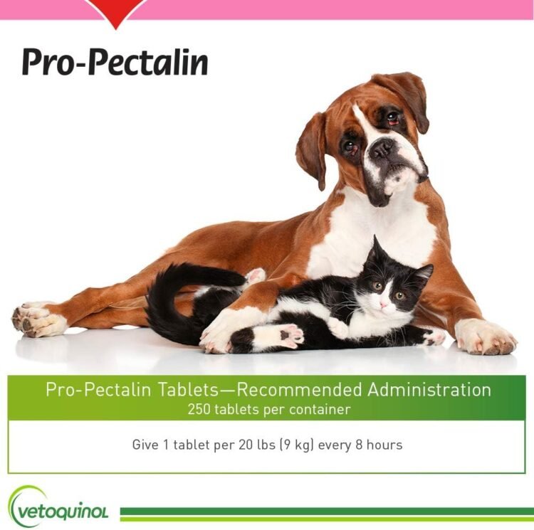 Vetoquinol Pro-Pectalin: Dog & Cat Diarrhea Supplement