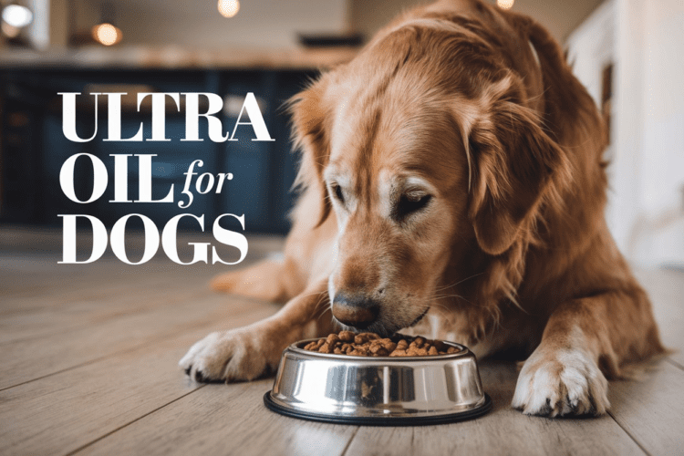 Ultra Oil for Dogs: Benefits & Usage Guide - puppadogs.com