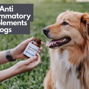 Biotin Supplement for Dogs: Benefits & Usage Guide