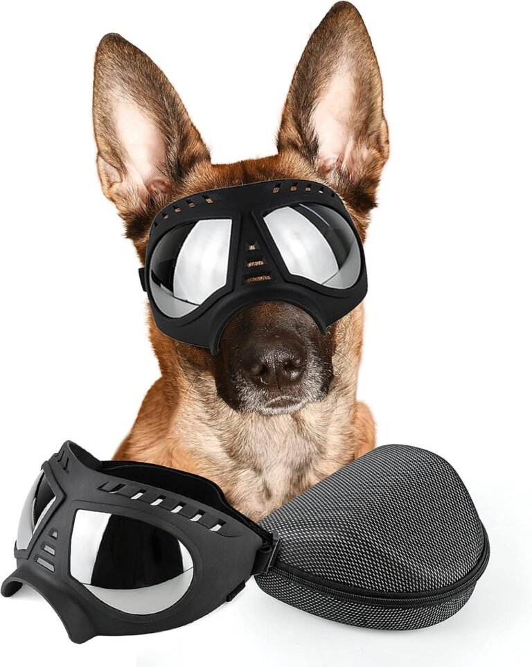 Safe & Stylish: Top Dog Goggles Reviewed
