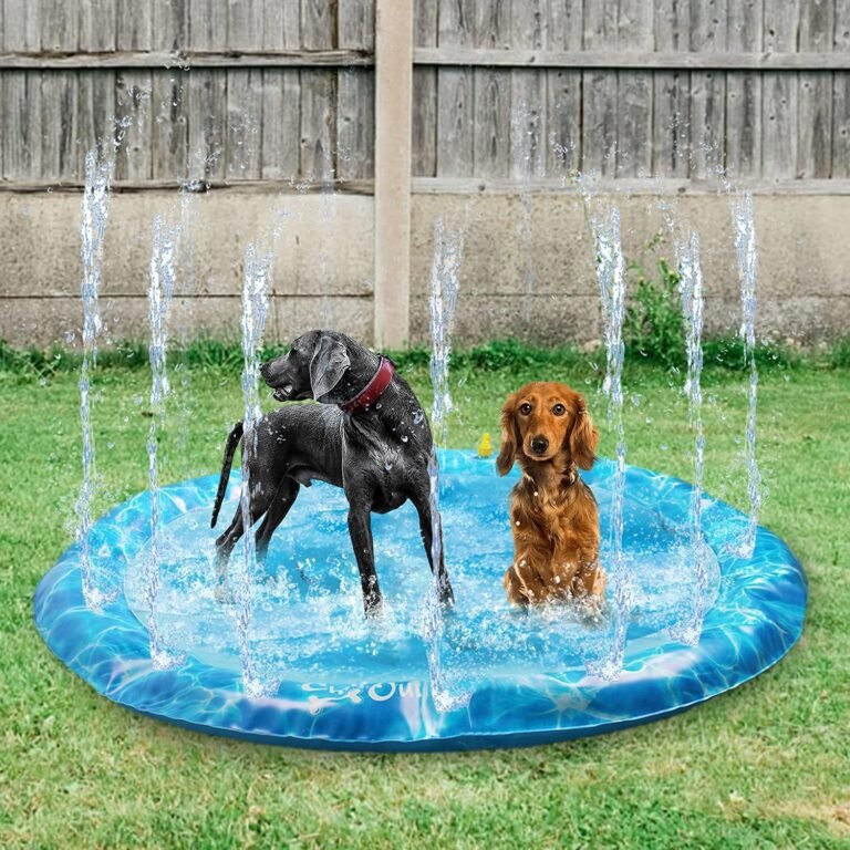 Best Dog Splash Pads for Summer Fun 2025