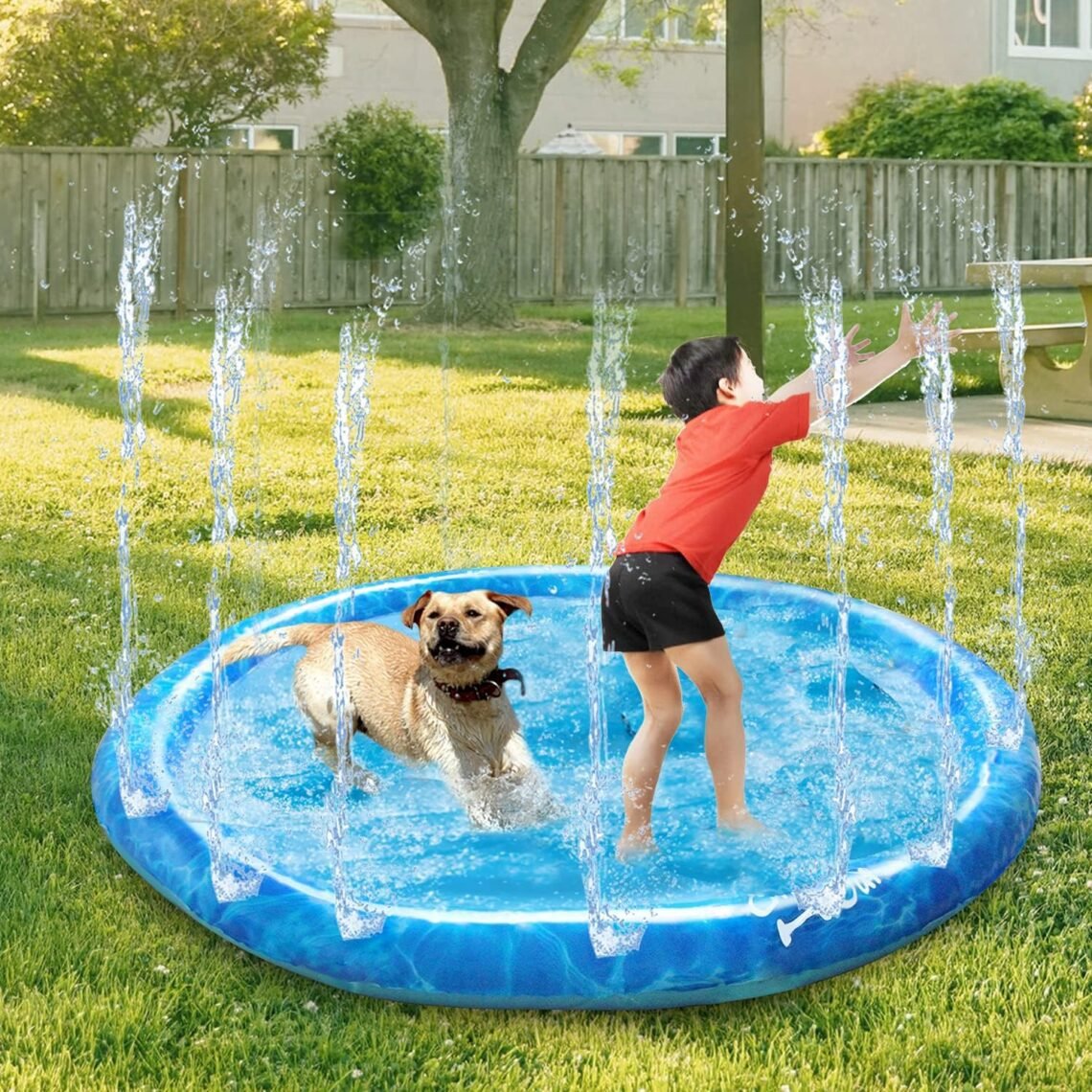 Best Dog Splash Pads for Summer Fun 2025