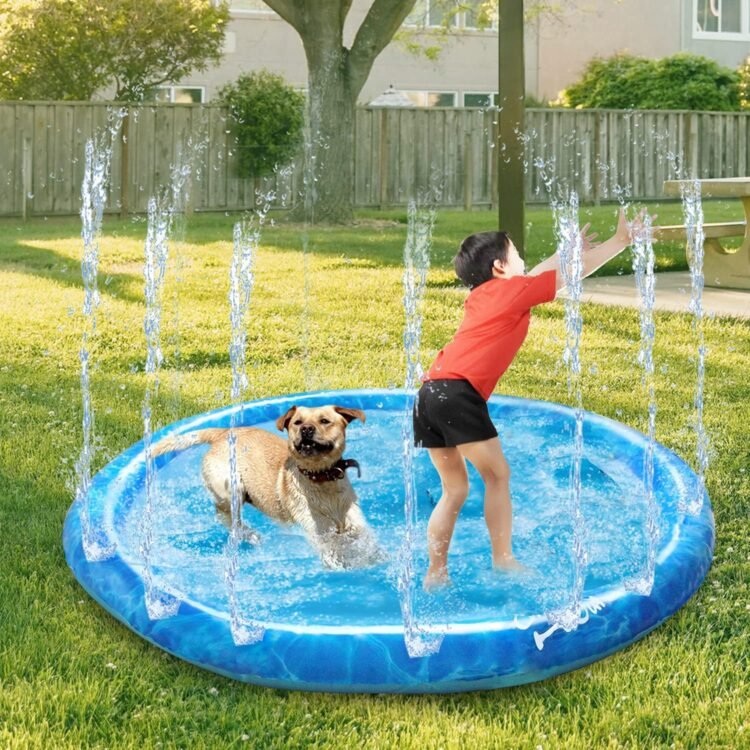 Best Dog Splash Pads for Summer Fun 2025