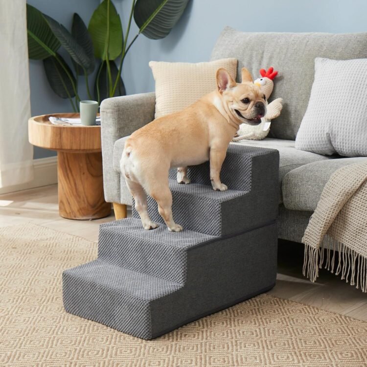 Best Dog Stairs for Pets at Home 2025