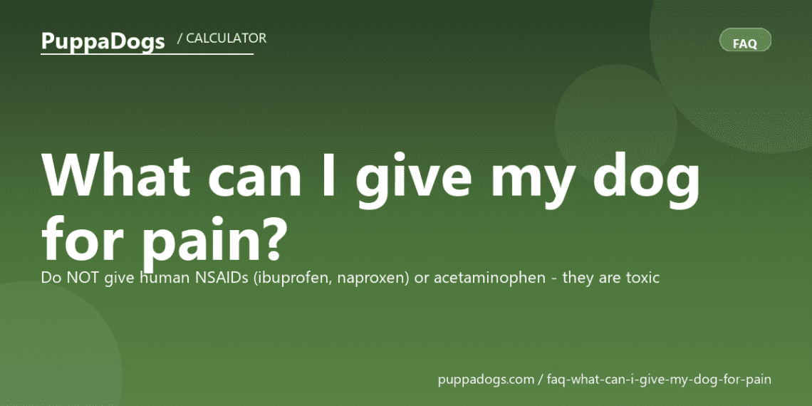 What can I give my dog for pain? - puppadogs.com